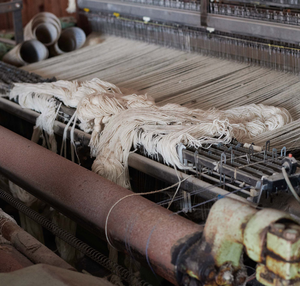 Swedish Wool | Tiger of Sweden